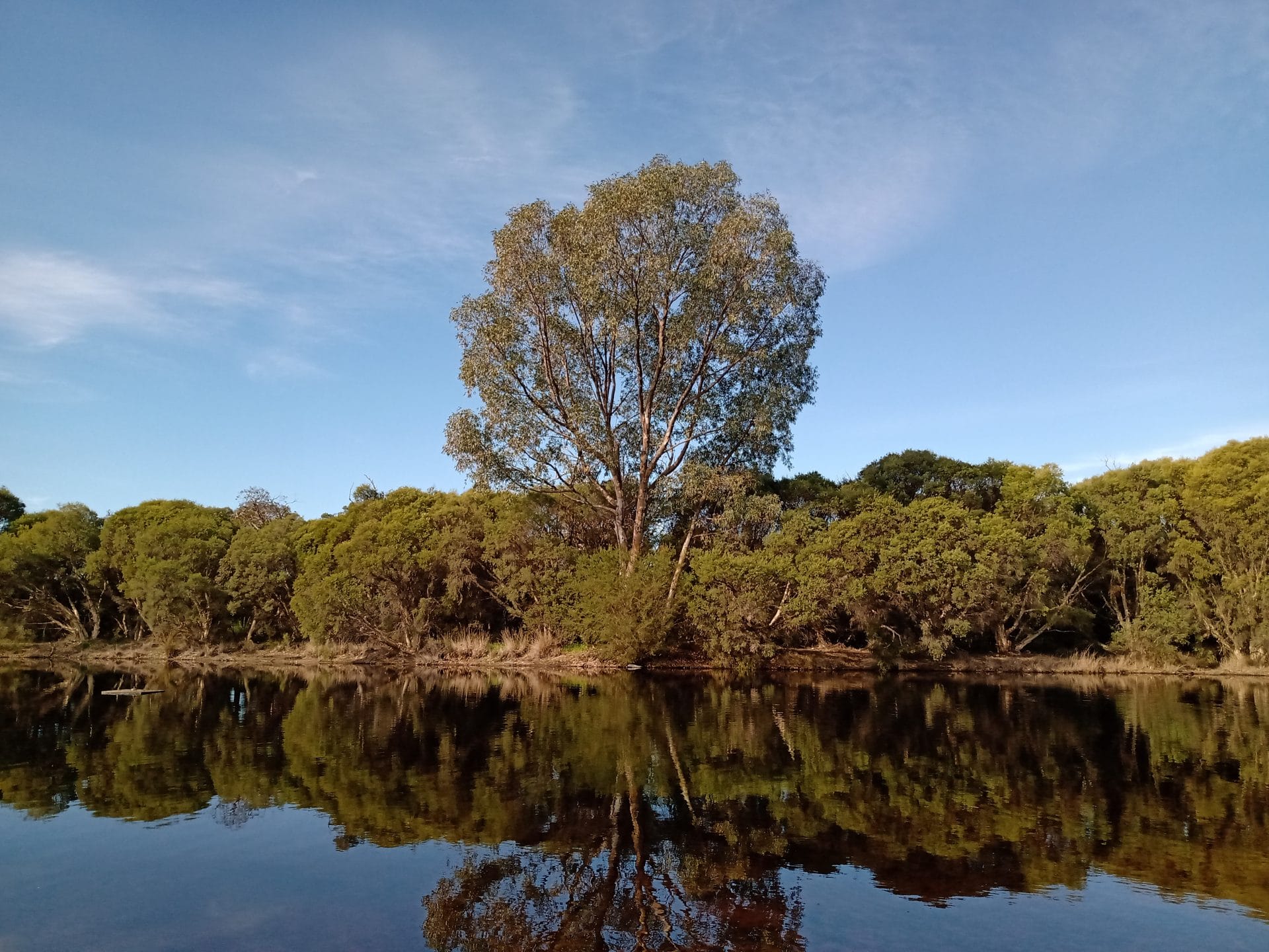 Spending Time in Nature – A Powerful Way to Disconnect from 'the ...